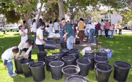 Tree Musketeers | K12 Academics