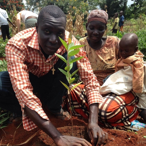 The Fruit Tree Planting Association - Uganda | K12 Academics