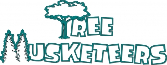 Tree Musketeers | K12 Academics