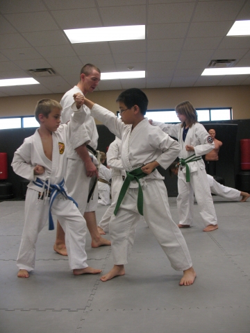 Peaceful Warrior Martial Arts | K12 Academics