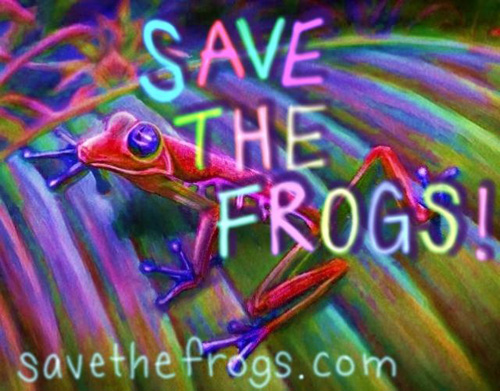 Save the Frogs! | K12 Academics