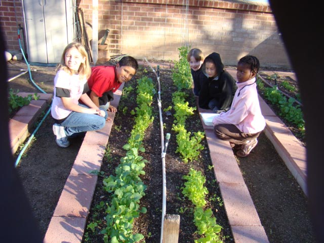 Cragin Elementary School Garden | K12 Academics