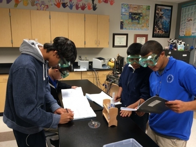 Cobalt Institute of Math and Science | K12 Academics